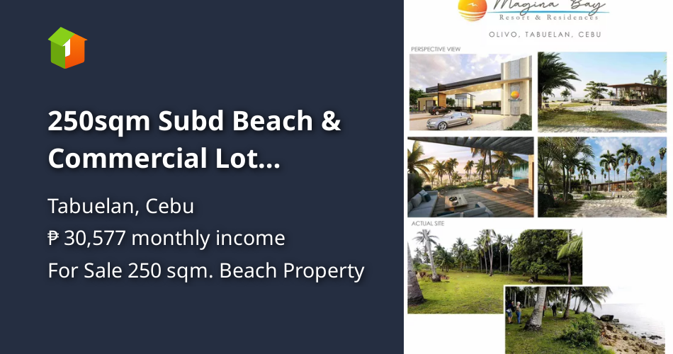 250sqm Subd Beach & Commercial Lot Property For Sale INSTALLMENT basis ...