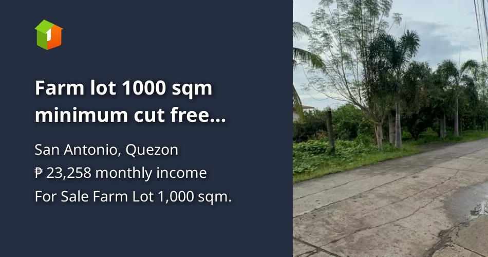 Farm lot 1000 sqm minimum cut free transfer of title [Lots 🚜] (December ...