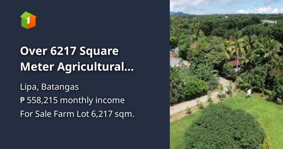 Over 6217 Square Meter Agricultural Farm Lot in Lipa, Batangas [Lots 🚜 ...