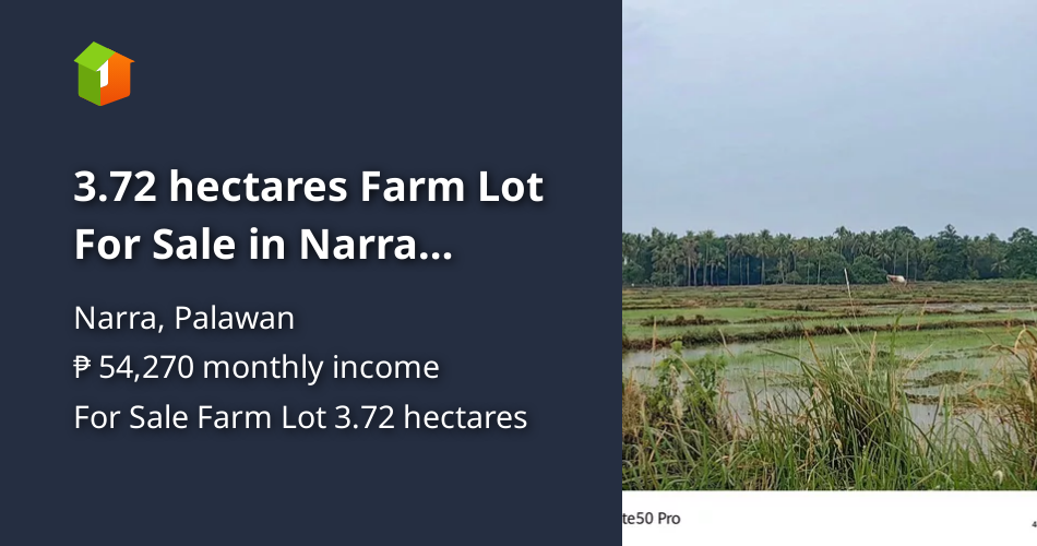 3.72 hectares Farm Lot For Sale in Narra Palawan [Lots 🚜] (December ...