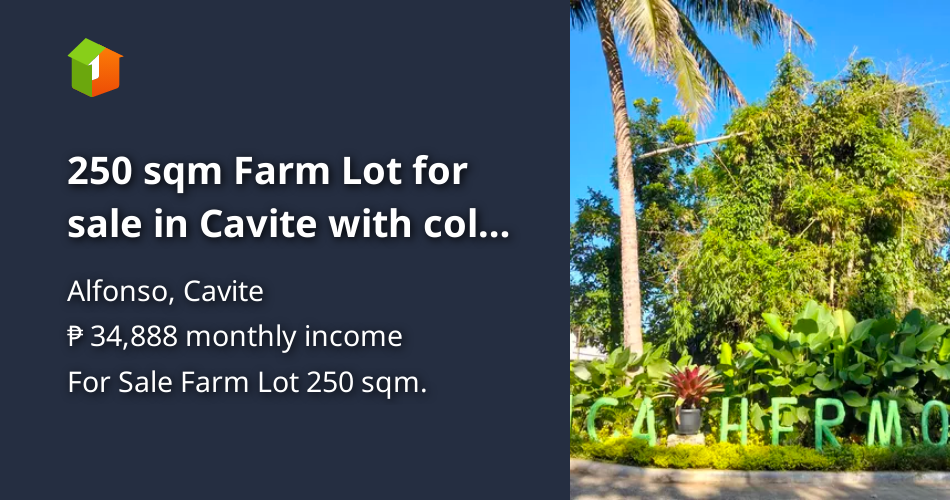 250 sqm Farm Lot for sale in Cavite with cold weather and fruit bearing ...
