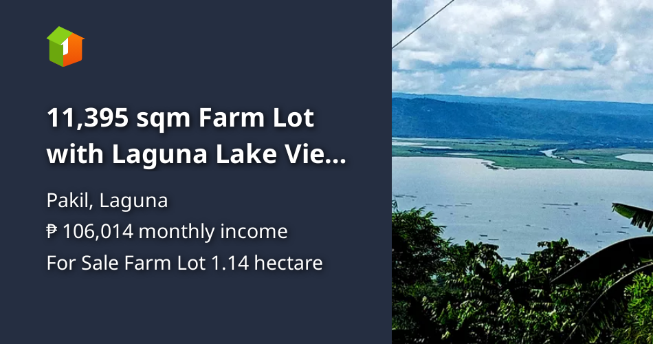 11,395 sqm Farm Lot with Laguna Lake View for Sale in Kabulusan, Pakil ...
