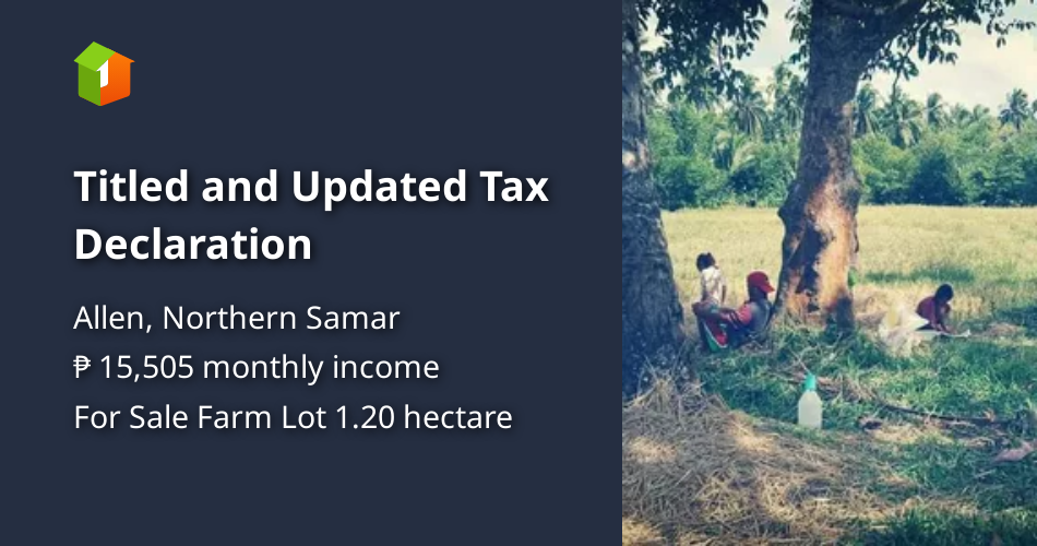 Titled and Updated Tax Declaration [Lots 🚜] (June 2023) in Allen ...