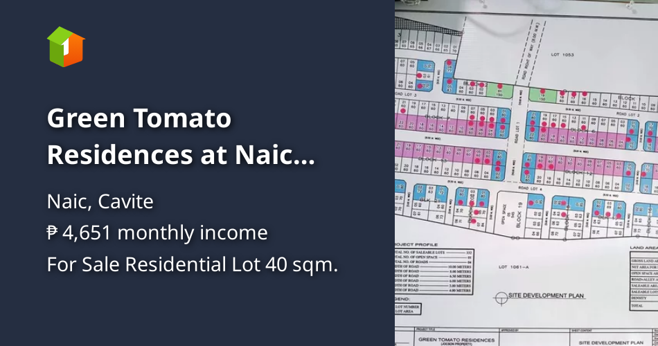 Green Tomato Residences at Naic Cavite (Near Town Proper) [Lots 🚜 ...