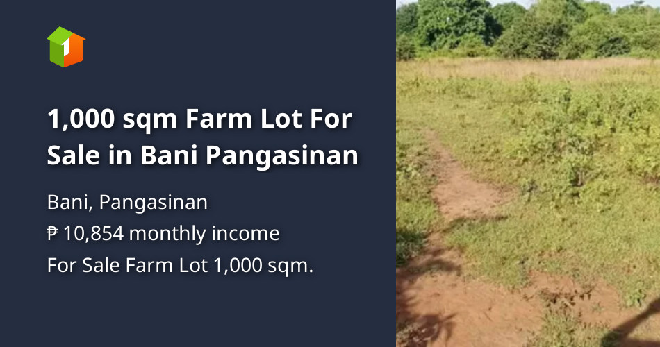 1,000 sqm Farm Lot For Sale in Bani Pangasinan [Lots 🚜] (April 2025) in ...