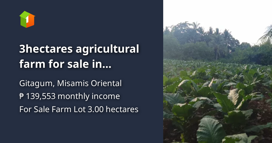3hectares agricultural farm for sale in Gitagum, misamis oriental [Lots ...