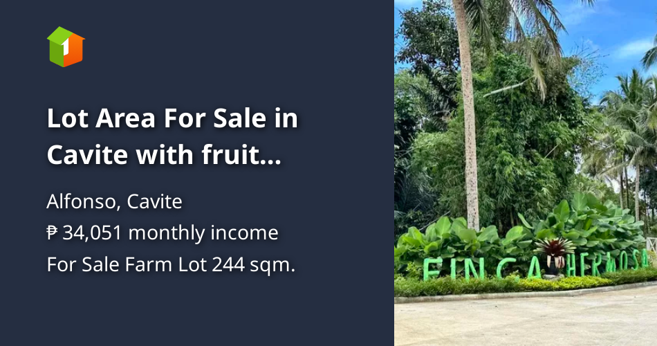 Lot Area For Sale in Cavite with fruit bearing trees near Twin Lakes ...