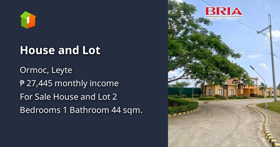 House and Lot [Houses and Lots 🏘️] (May 2023) in Ormoc, Leyte for sale