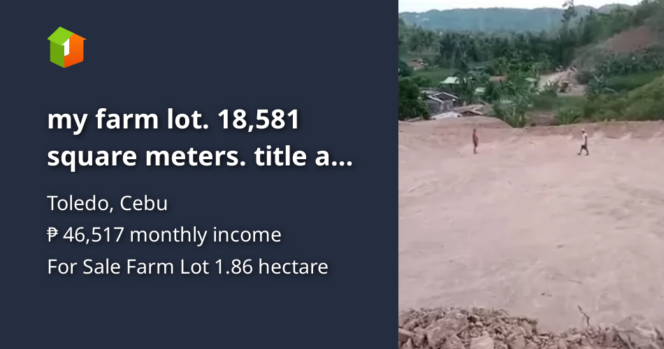 My farm lot. 18,581 square meters. title and tax declaration mine. from ...