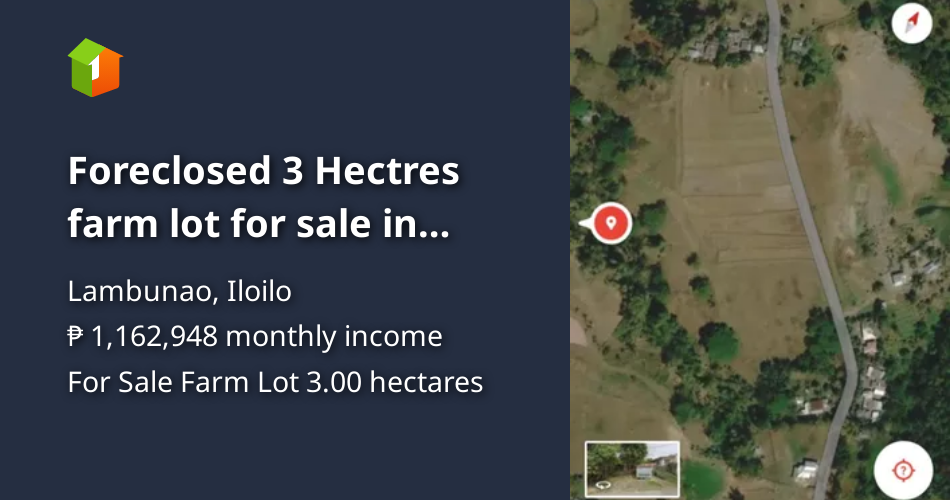 Foreclosed 3 Hectres farm lot for sale in Lambunao Iloilo [Lots 🚜 ...