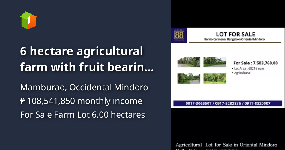 6 hectare agricultural farm with fruit bearing for sale [Lots 🚜] (April ...