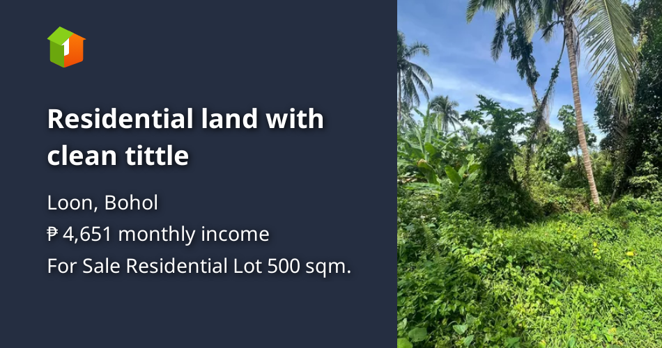 Residential land with clean tittle [Lots 🚜] (March 2024) in Loon, Bohol ...