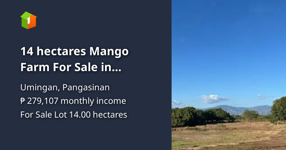 14 hectares Mango Farm For Sale in Umingan Pangasinan [Lots 🚜 ...