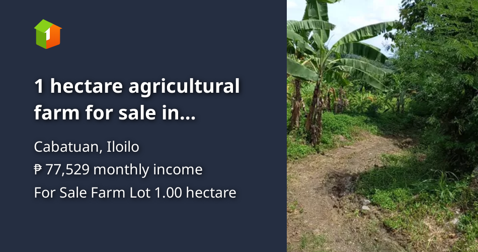 1 hectare agricultural farm for sale in cabatuan IloIlo [Lots 🚜] (March ...