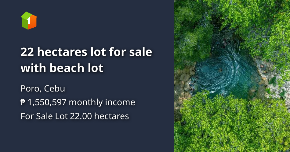 22 hectares lot for sale with beach lot [Lots 🚜] (June 2024) in Poro ...