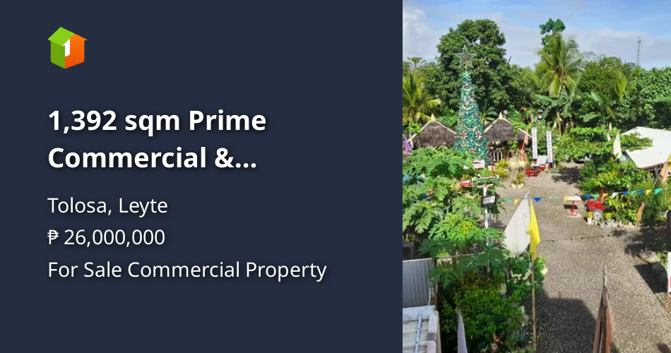 1,392 sqm Prime Commercial & Residential Property in Leyte [Commercial ...