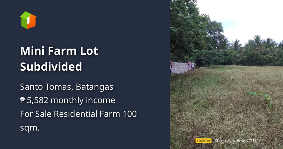 Mini Farm Lot Subdivided [Lots 🚜] (September 2025) in Santo Tomas ...
