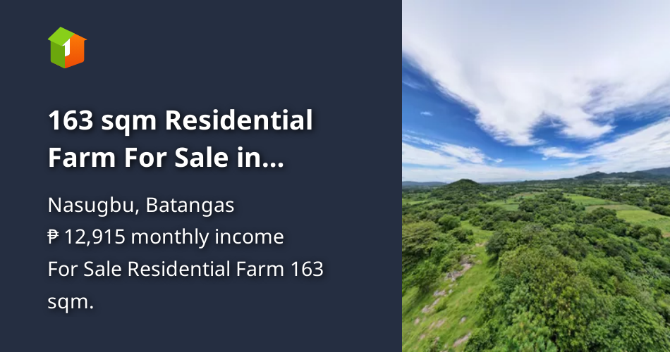 163 sqm Residential Farm For Sale in Nasugbu Batangas [Lots 🚜] (March ...
