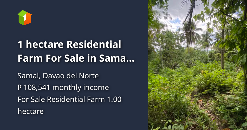 1 hectare Residential Farm For Sale in Samal Island Davao Del Norte [Lots 🚜] (October 2025) in ...