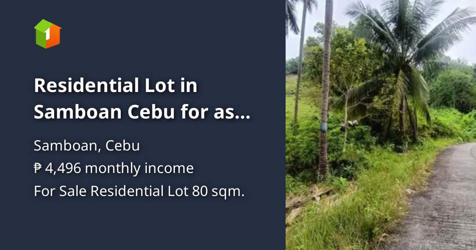 Residential Lot in Samboan Cebu for as low as 3,560 per month [Lots 🚜 ...