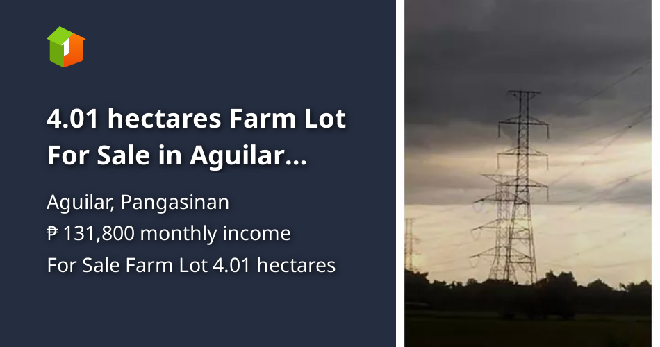 4.01 hectares Farm Lot For Sale in Aguilar Pangasinan [Lots 🚜] (March ...