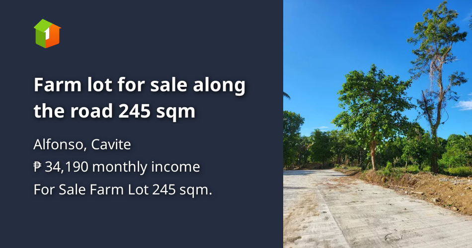Farm lot for sale along the road 245 sqm [Lots 🚜] (May 2025) in Alfonso, Cavite for sale