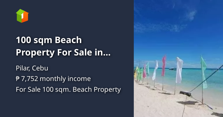 100 sqm Beach Property For Sale in Camotes ,Cebu [Beach Properties 🏖️ ...