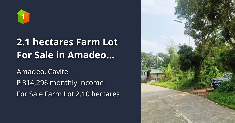 2.1 hectares Farm Lot For Sale in Amadeo Cavite near Aguinaldo Highway ...