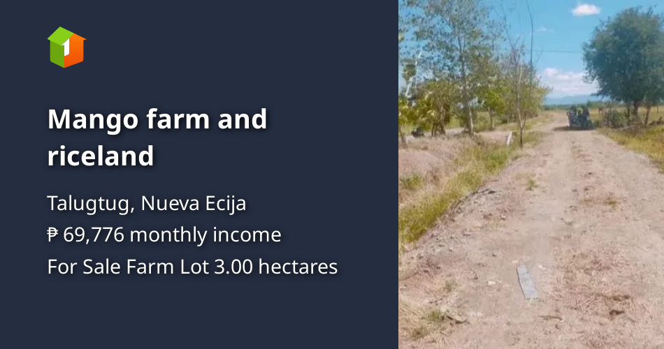 Mango farm and riceland [Lots 🚜] (May 2024) in Talugtug, Nueva Ecija ...