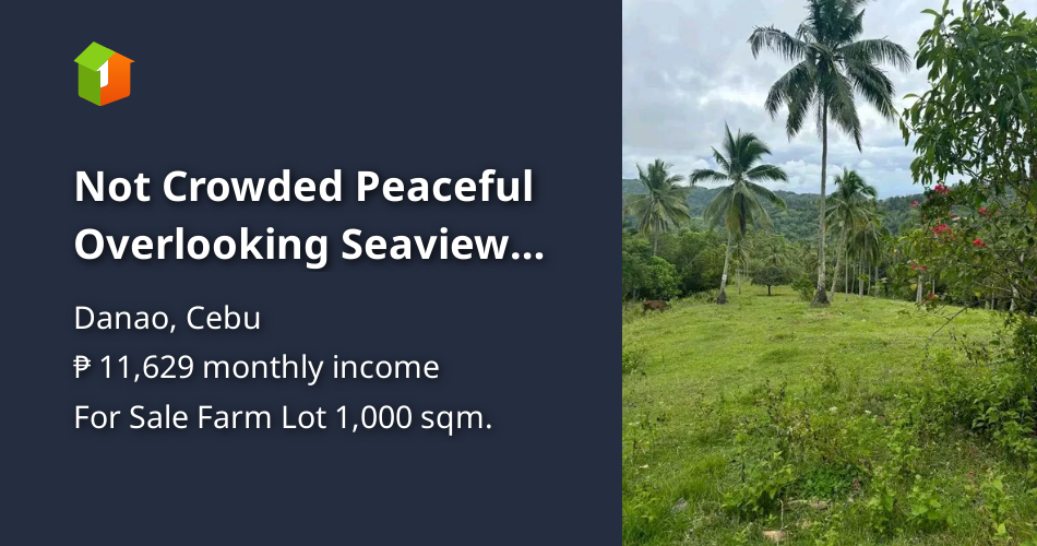 Not Crowded Peaceful Overlooking Seaview Farm Lot OnePropertee Sale ...