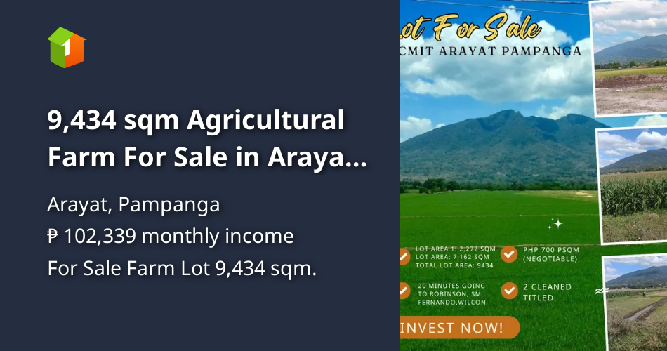 9,434 sqm Agricultural Farm For Sale in Arayat Pampanga [Lots 🚜 ...