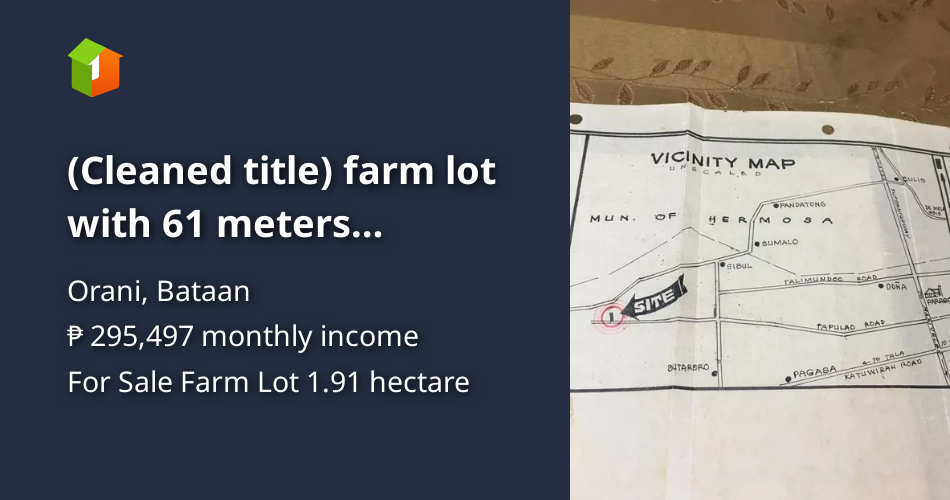 (Cleaned title) farm lot with 61 meters frontage 300+ meters length ...