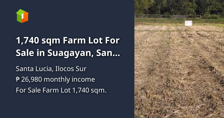 1,740 sqm Farm Lot For Sale in Suagayan, Santa Lucia Ilocos Sur [Lots 🚜 ...