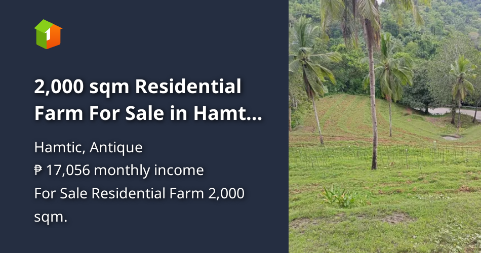 2,000 sqm Residential Farm For Sale in Hamtic Antique [Lots 🚜 ...