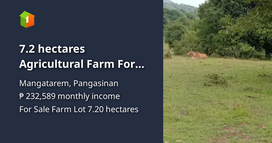 7.2 hectares Agricultural Farm For Sale in Mangatarem Pangasinan [Lot 🚜 ...