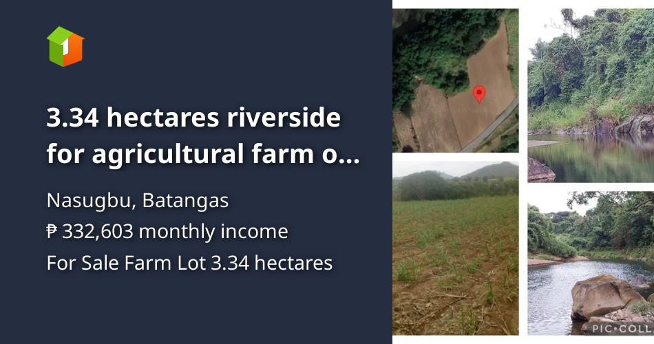 3.34 hectares riverside for agricultural farm or resort at Nasugbu ...
