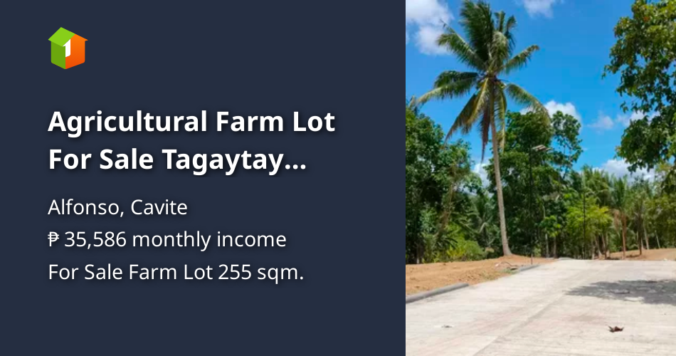 Agricultural Farm Lot For Sale Tagaytay Climate with fruit bearing trees [Lots 🚜] (May 2025) in ...