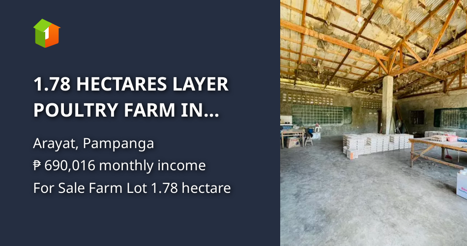 1.78 HECTARES LAYER POULTRY FARM IN PAMPANGA [Lots 🚜] (December 2025 ...