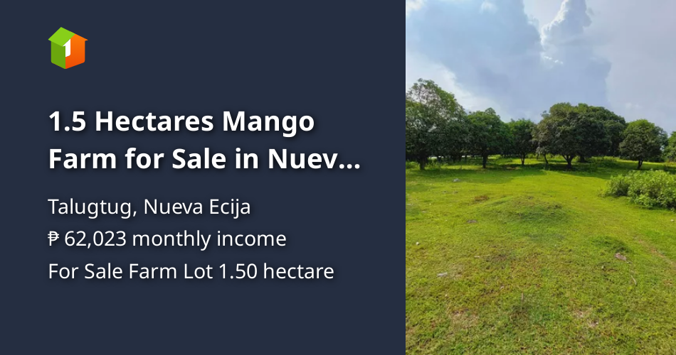 1.5 Hectares Mango Farm for Sale in Nueva Ecija [Lots 🚜] (July 2025) in ...