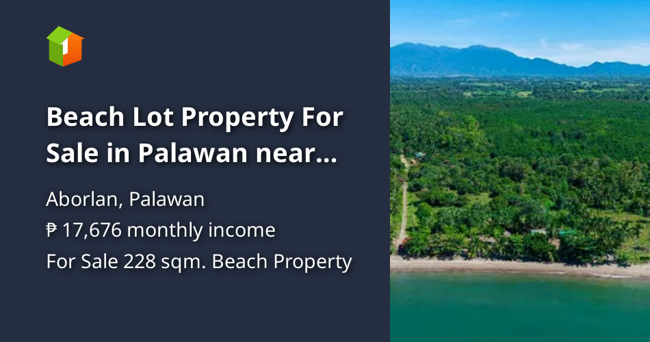 Beach Lot Property For Sale in Palawan near Puerto Princesa [Beach ...