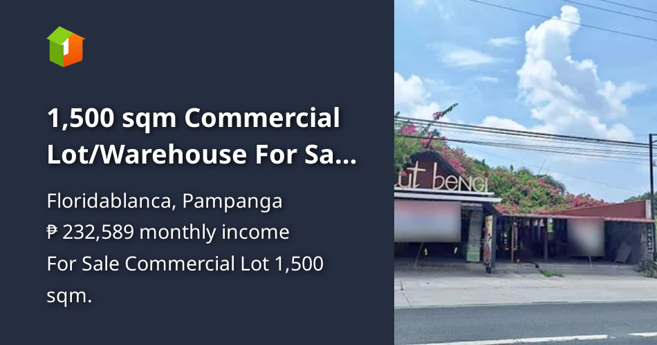 1,500 sqm Commercial Lot/Warehouse For Sale in Floridablanca Pampanga ...
