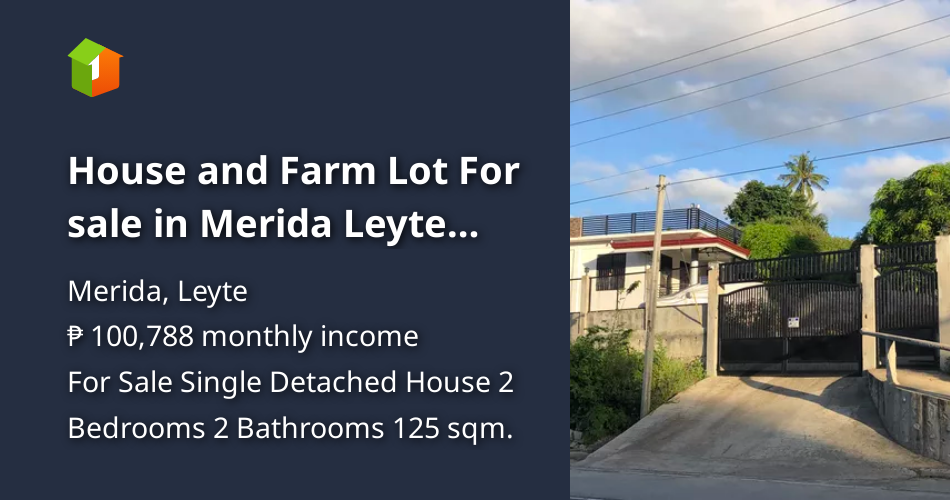 House and Farm Lot For sale in Merida Leyte Province [Houses and Lots 🏘 ...