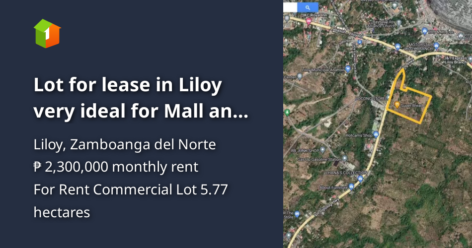 Lot for lease in Liloy very ideal for Mall and Gas Station Business ...