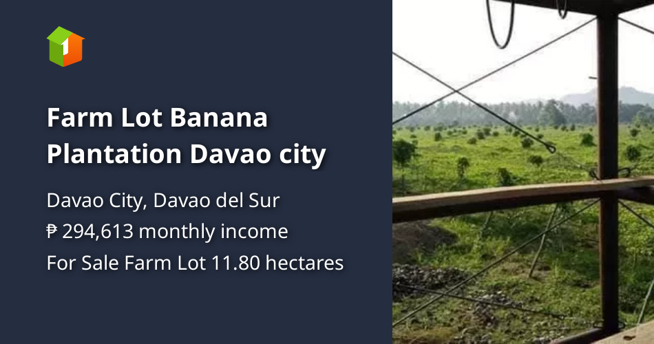Farm Lot Banana Plantation Davao city [Lots 🚜] (May 2026) in Davao City ...