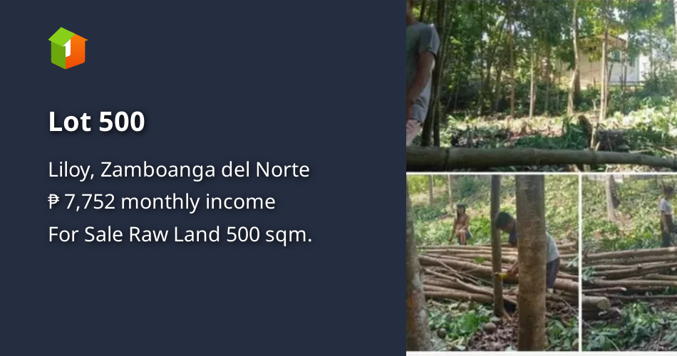 Lot 500 [Lots 🚜] (December 2023) in Liloy, Zamboanga del Norte for sale