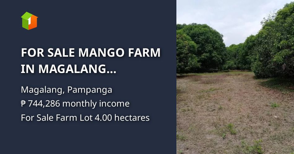 FOR SALE MANGO FARM IN MAGALANG PAMPANGA NEAR TOWN PROPER AND ANGELES ...