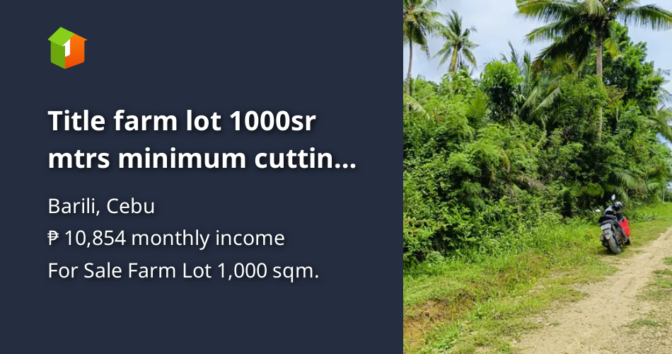 Title farm lot 1000sr mtrs minimum cutting at 700 per sq patupat barili ...