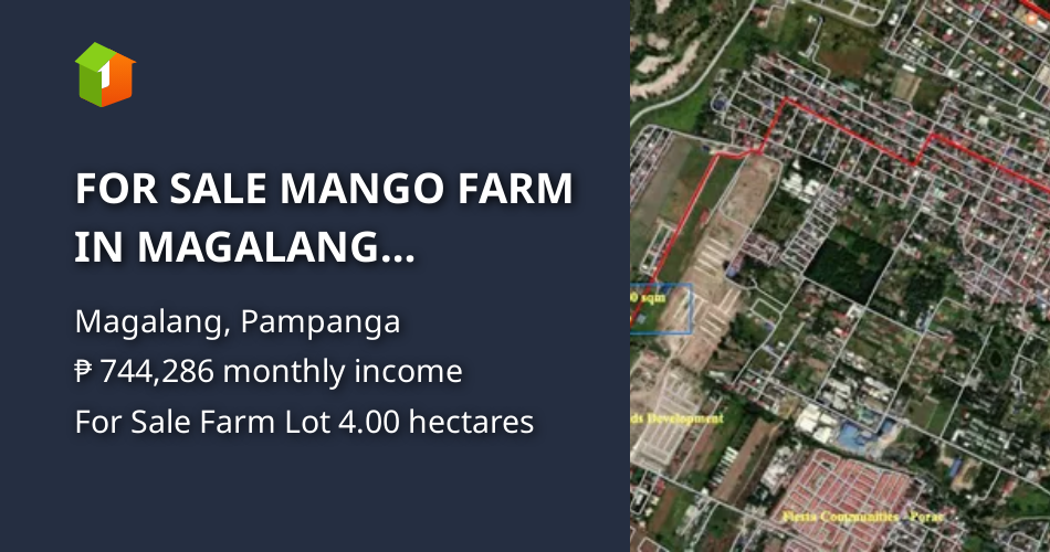 FOR SALE MANGO FARM IN MAGALANG PAMPANGA NEAR TOWN PROPER AND ANGELES ...
