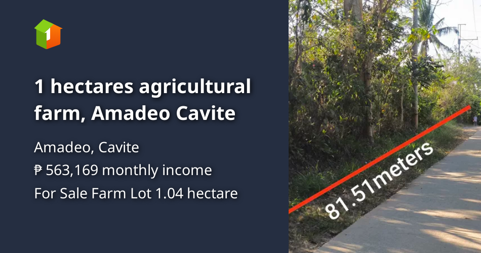 1 hectares agricultural farm, Amadeo Cavite [Lots 🚜] (December 2025) in ...