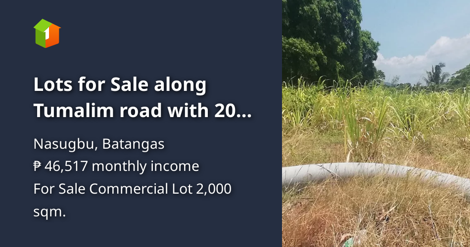 Lots for Sale along Tumalim road with 2000 sqm. [Lots 🚜] (November 2025 ...